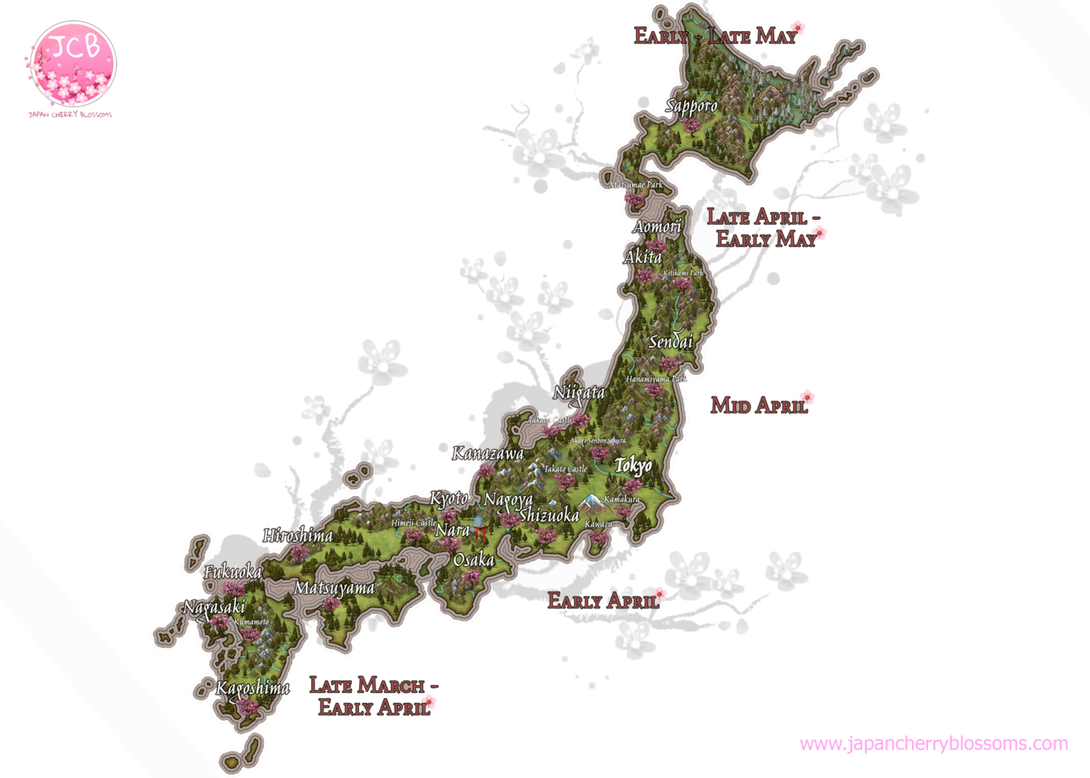 Dwarf Fuji Cherry Trees - Japan Cherry Blossoms
